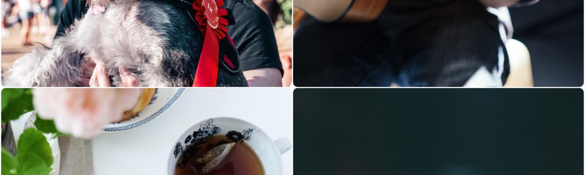 Ten event ideas for Village Halls | Devon Communities Together